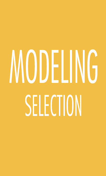 Modeling Selection